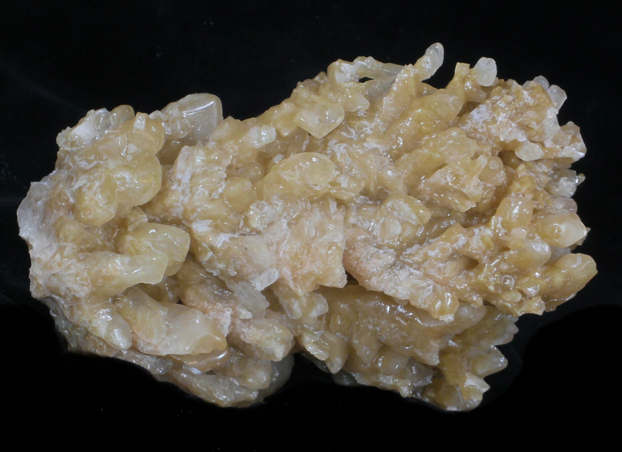 Bargain 4.8" Caramel Calcite Cluster - Mexico (#33745) For Sale ...