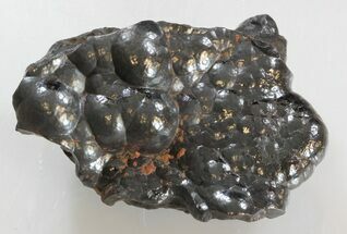 2.2" Kidney Ore (Botryoidal Hematite) - Morocco For Sale (#34138 ...