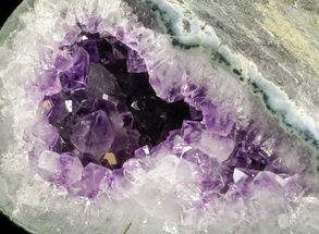 Spectacular 18.5" Wide Amethyst Formation - 57 lbs For Sale (#31210 ...