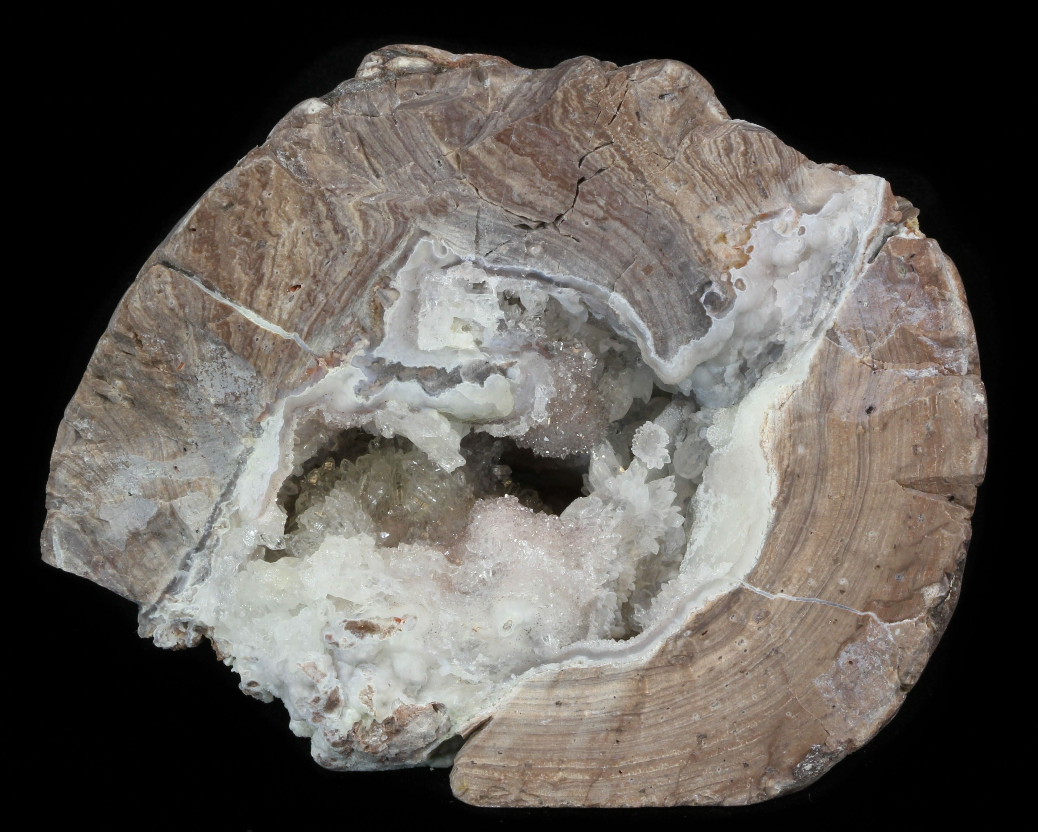 3.8" Crystal Filled Dugway Geode (Polished Half) For Sale (#38863 ...