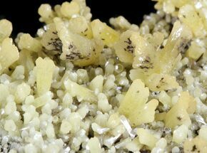 Misc. Rocks & Minerals For Sale - FossilEra.com