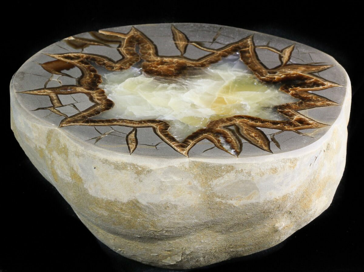 4.7" Polished Septarian Nodule (Half) - Utah For Sale (#45907 ...