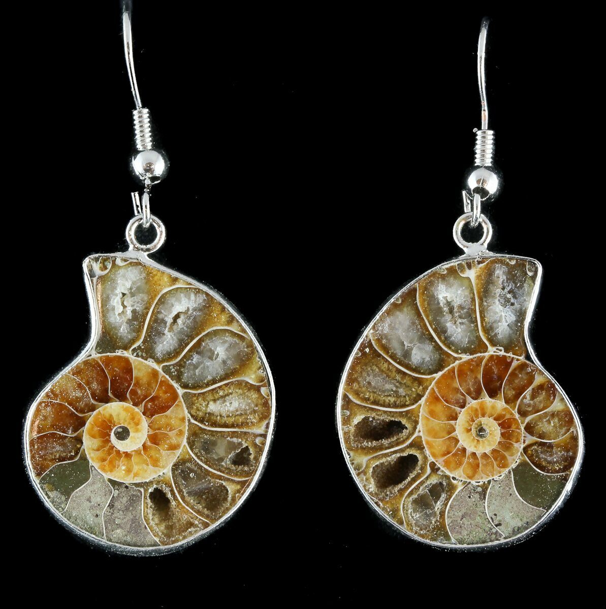 Fossil Ammonite Earrings 110 Million Years Old 48848 For Sale