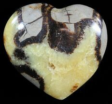Septarian For Sale - FossilEra.com