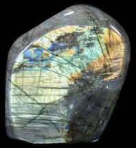 Labradorite For Sale - FossilEra.com