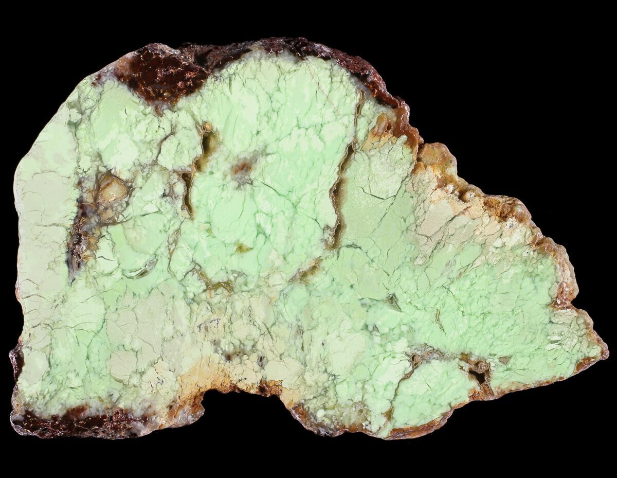 3.6" Polished Lemon Citron Chrysoprase Slab - Western Australia For ...