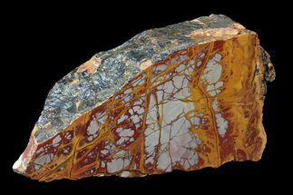 8.7" Polished Chert Breccia Section - Western Australia For Sale ...