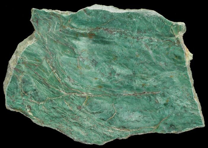 7.6" Polished Fuchsite Chert (Dragon Stone) Slab - Australia (#70861 ...