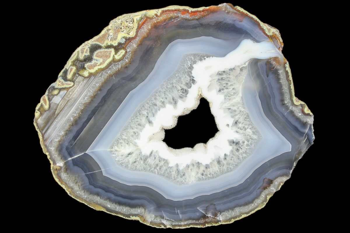 Beautiful, 6.9" Polished Brazilian Agate Slice For Sale (#85162) - FossilEra.com