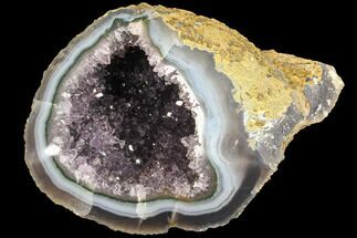 8" Gorgeous Dark Amethyst Geode - Uruguay For Sale (#30906) - FossilEra.com
