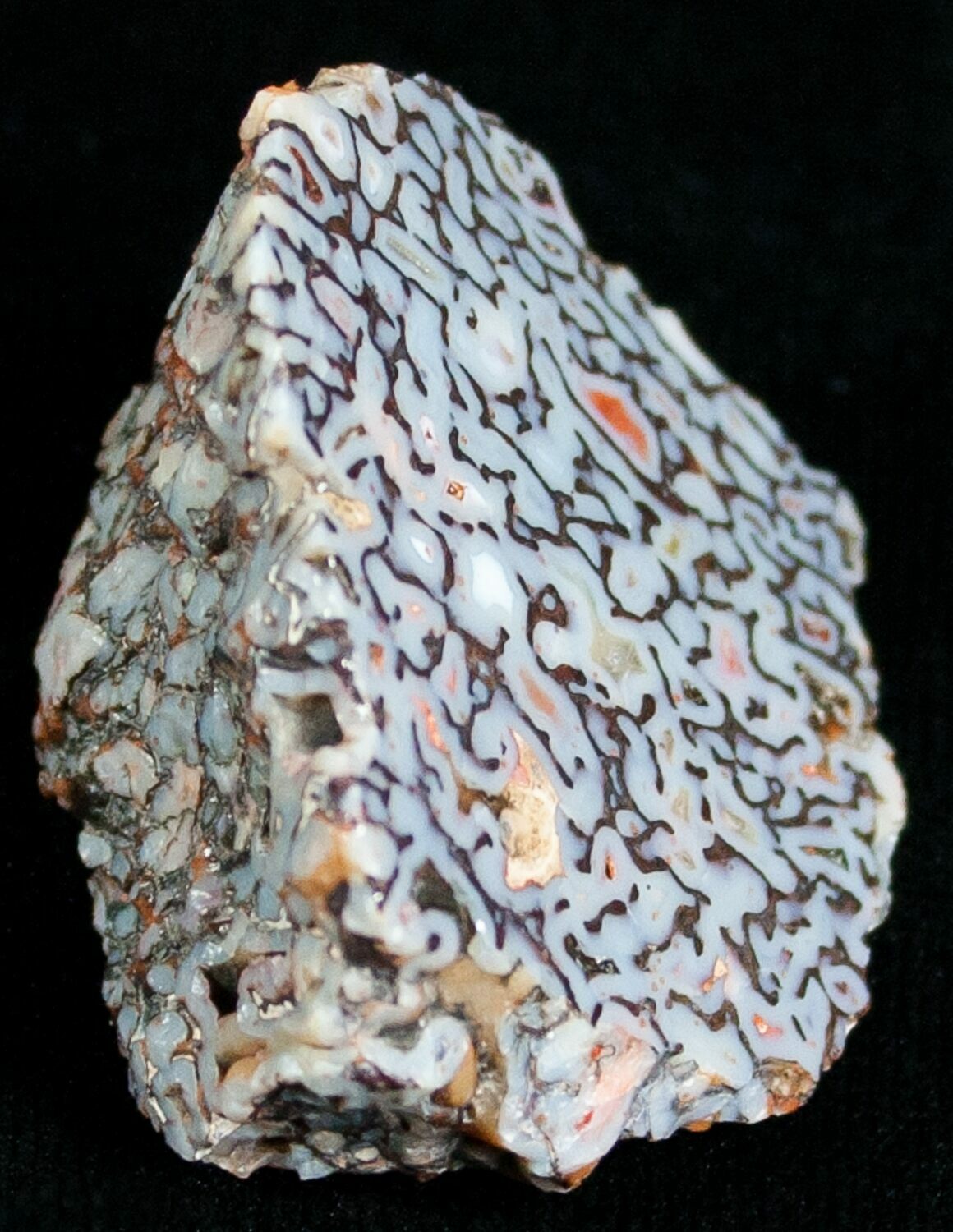 Agatized Dinosaur Bone Chunk (Polished) (#6429) For Sale - FossilEra.com