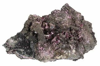 4.3" Kansas Amber (Jelinite) Specimen "Holy Grail Of Kansas Minerals ...