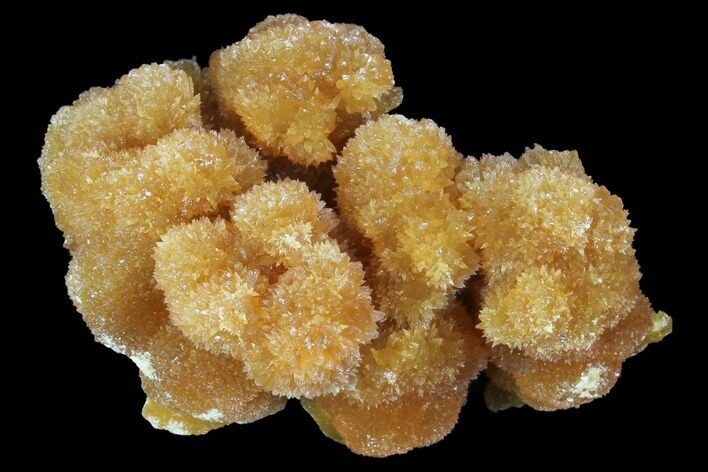 1.5" Red-Orange, Botryoidal Aragonite Formation - Peru (#97625) For ...