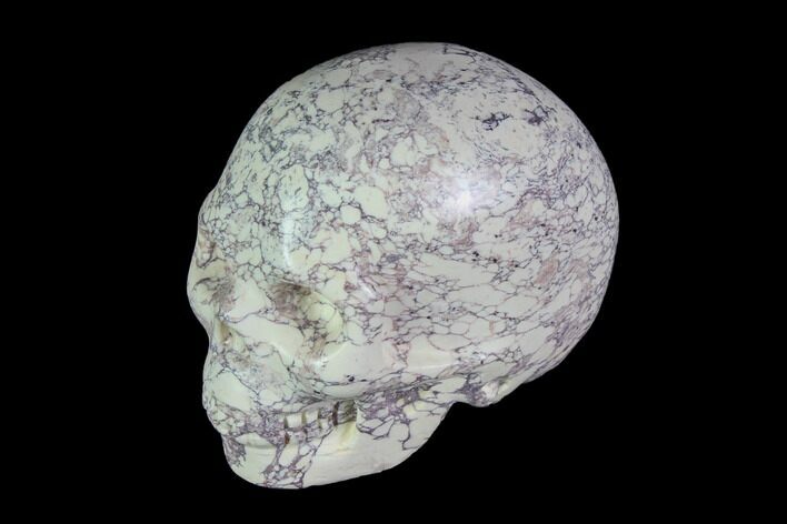 1.9" Realistic, Polished Howlite Skull (#116577) For Sale - FossilEra.com