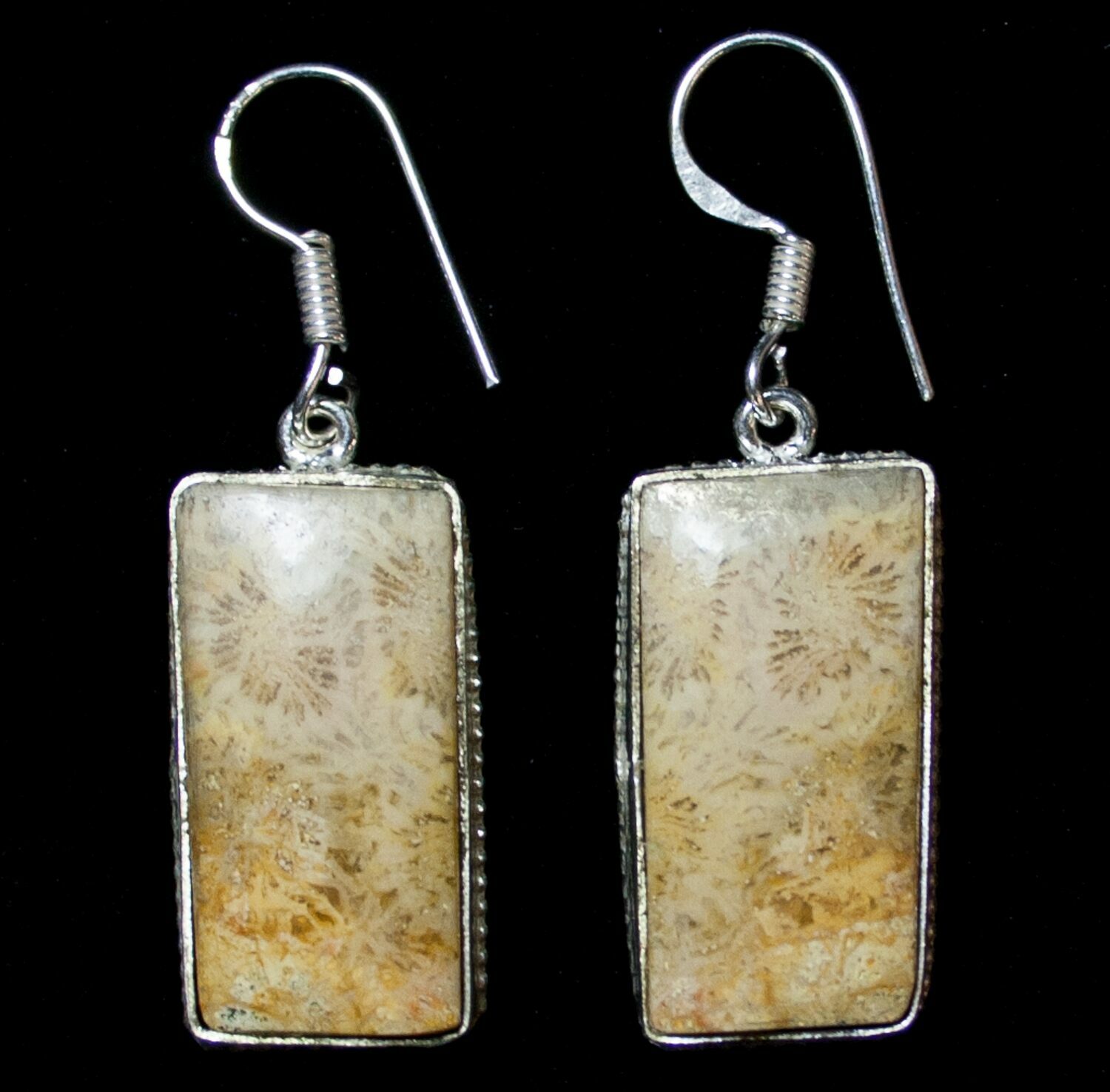 Beautiful Fossil Coral Sunburst Earrings (#8607) For Sale - FossilEra.com