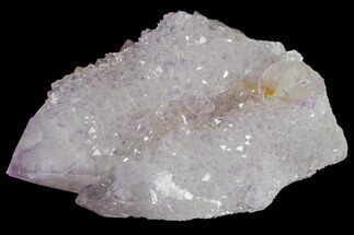 1.18" Cactus Quartz (Amethyst) Crystal - South Africa For Sale (#33755 ...