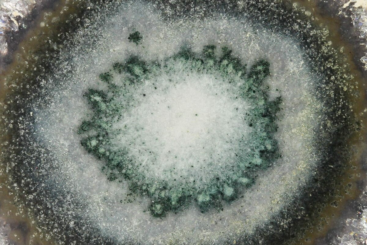 1.2" Quartz Stalactite Slice - Uruguay (#138776) For Sale - FossilEra.com