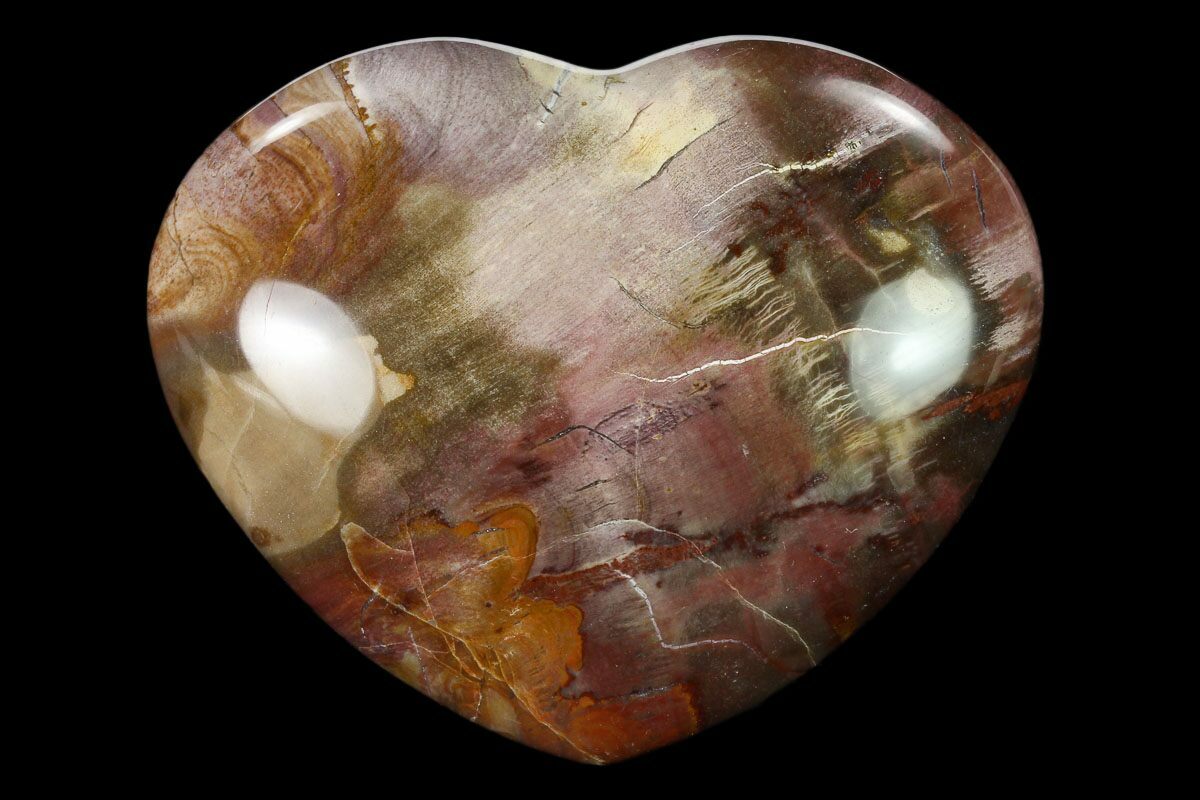3.5" Polished Triassic Petrified Wood Heart - Madagascar (#139976) For ...