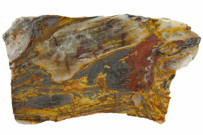 4.6" Colorful Binghamite Agate Slab - Minnesota (#141166) For Sale ...