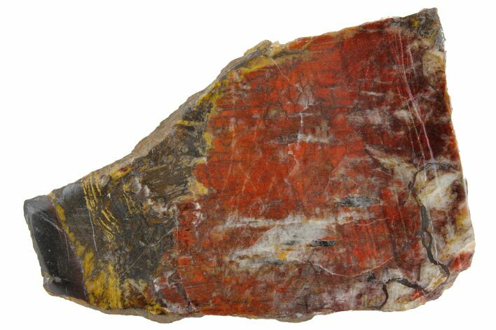 3.7" Chatoyant Binghamite Agate Slab - Minnesota (#141167) For Sale ...