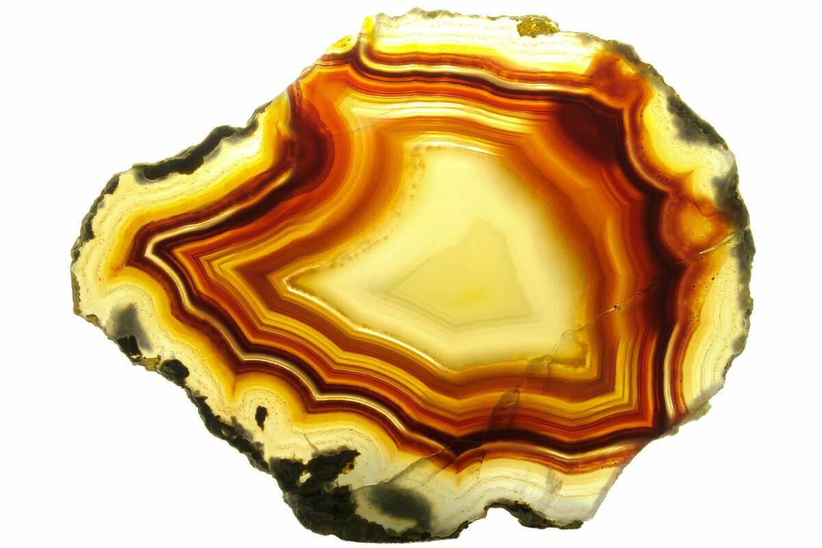 4.8" Polished Laguna Agate Slab - Mexico For Sale (#141220) - FossilEra.com