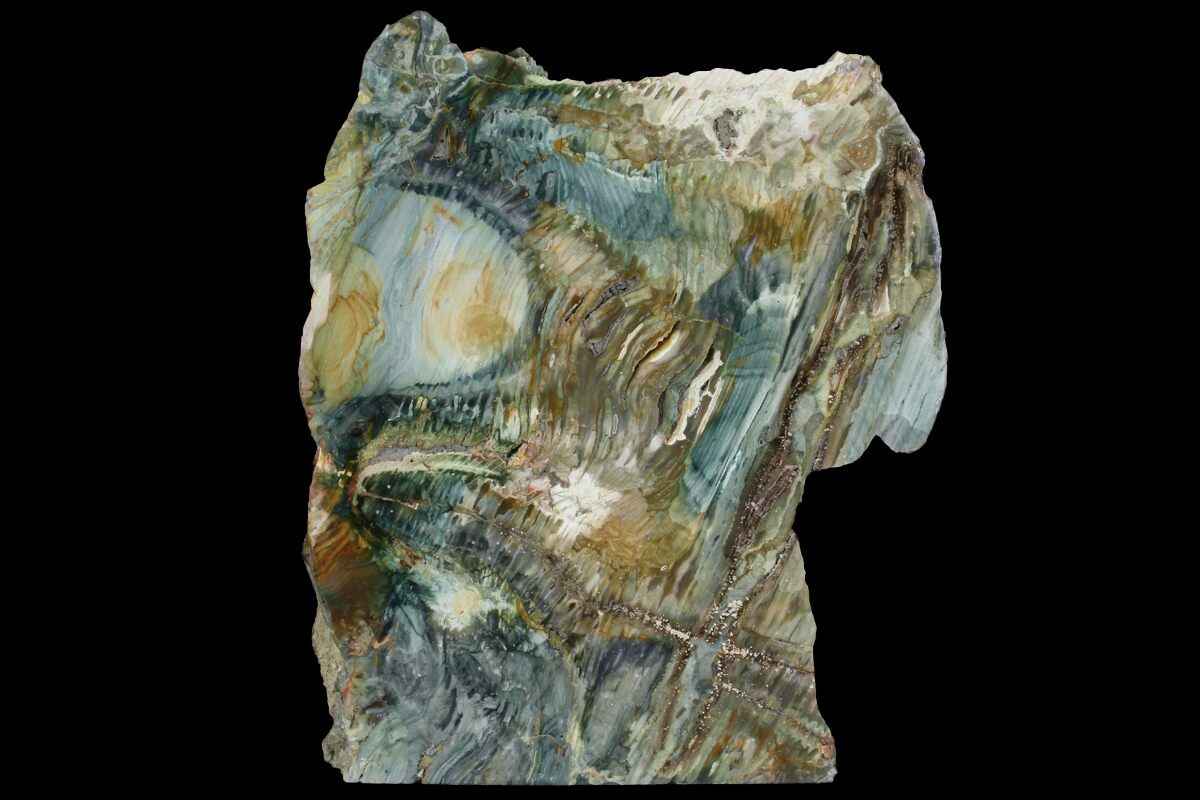 6.1" Gary Green Jasper (Larsonite) Bog Wood Stand Up - Oregon (#141243 ...