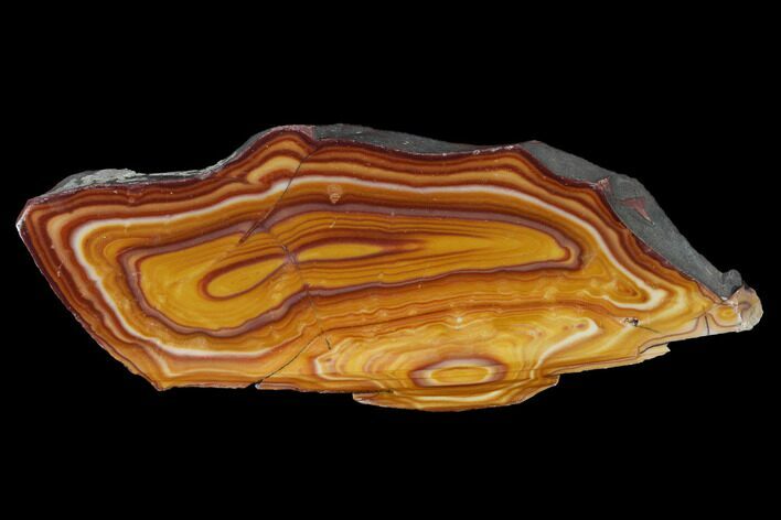 6.9" Polished Banded Rhyolite (Hickoryite) Slab - Mexico (#152665) For ...