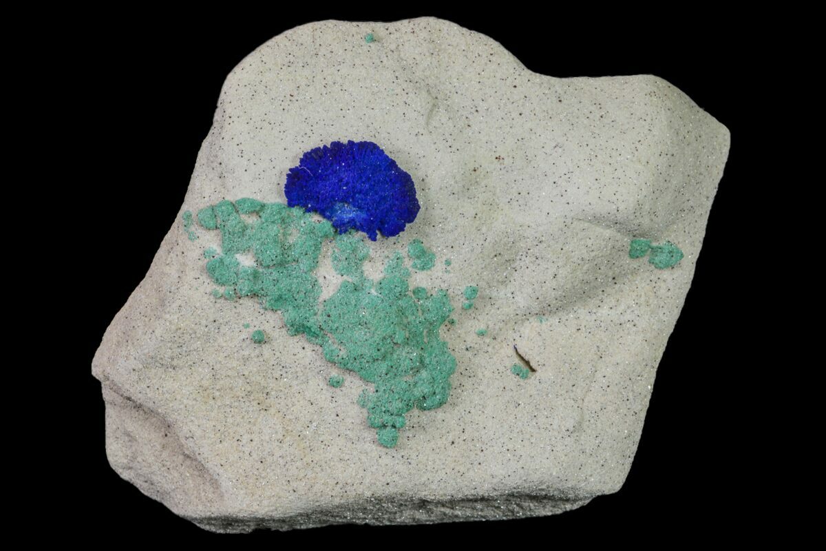 .27" Vibrant, Blue Azurite Sun on Siltstone - Australia (#155640) For ...