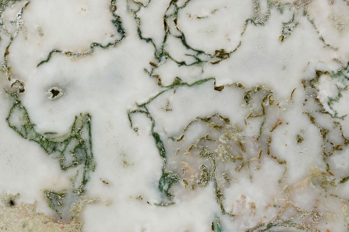 5.3" Polished Tree Agate Slab - India (#167473) For Sale - FossilEra.com
