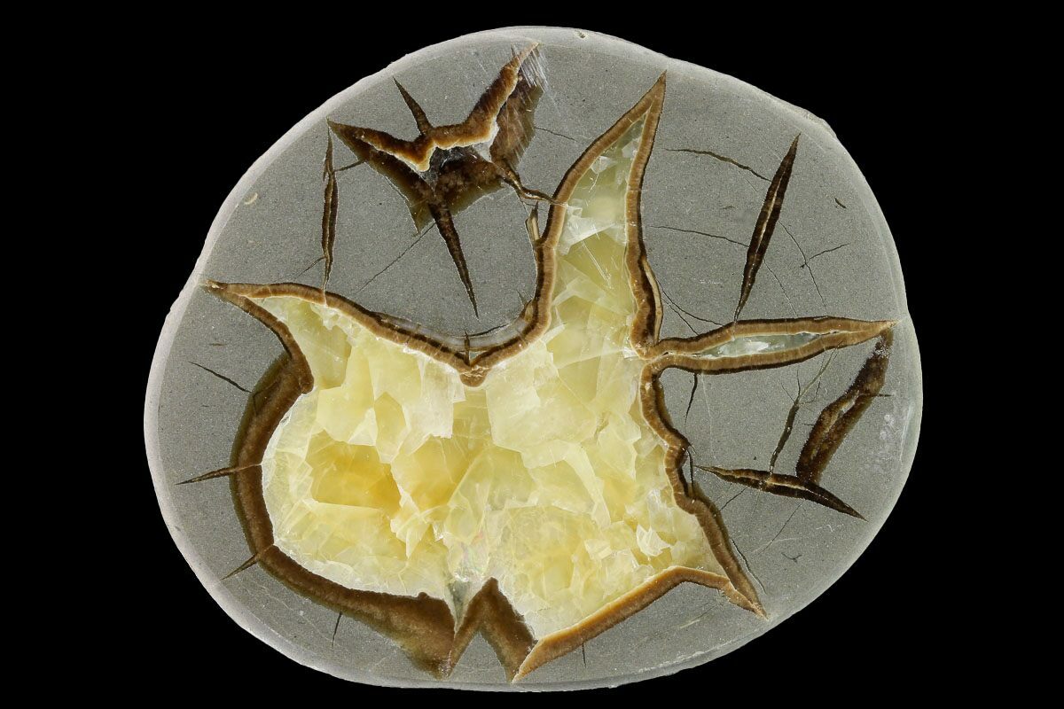 2.95" Polished Septarian Nodule Half - Utah (#169374) For Sale ...