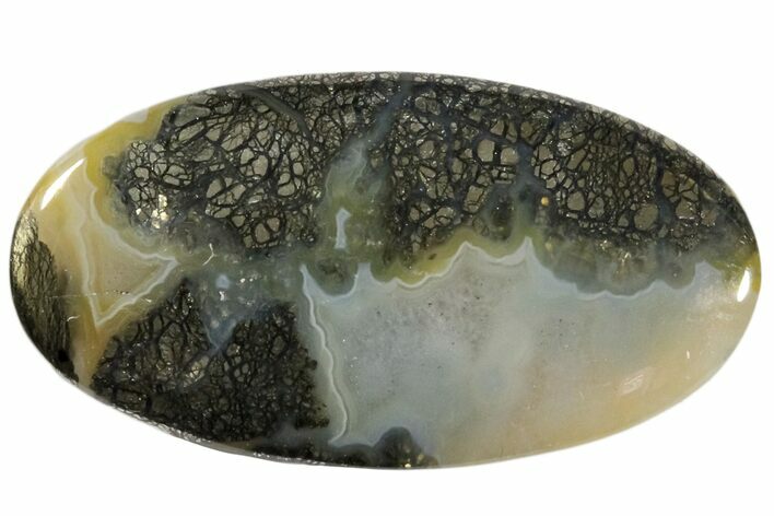 1.8" Nipomo Marcasite Agate Oval Cabochon (#171316) For Sale ...