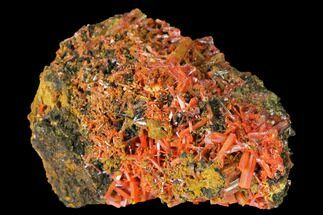Crocoite For Sale - FossilEra.com