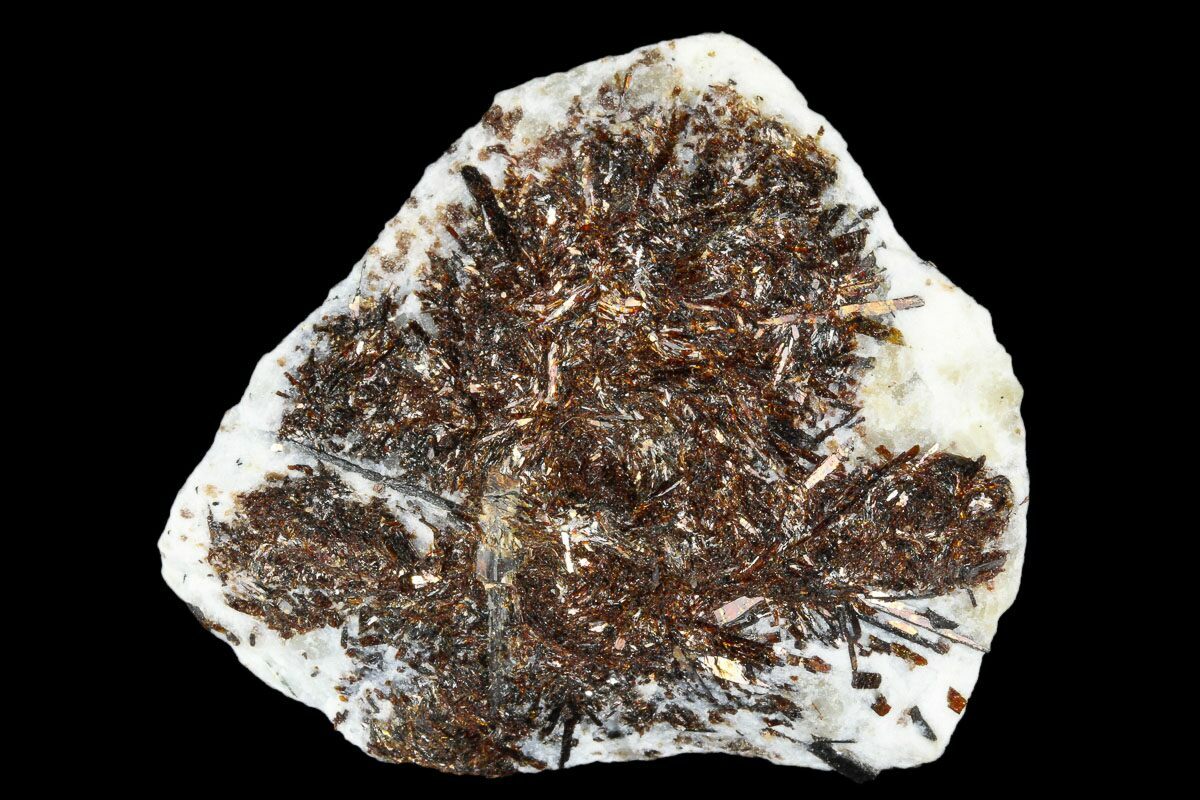 2" Golden-Brown, Radiating Astrophyllite - Kola Peninsula, Russia ...