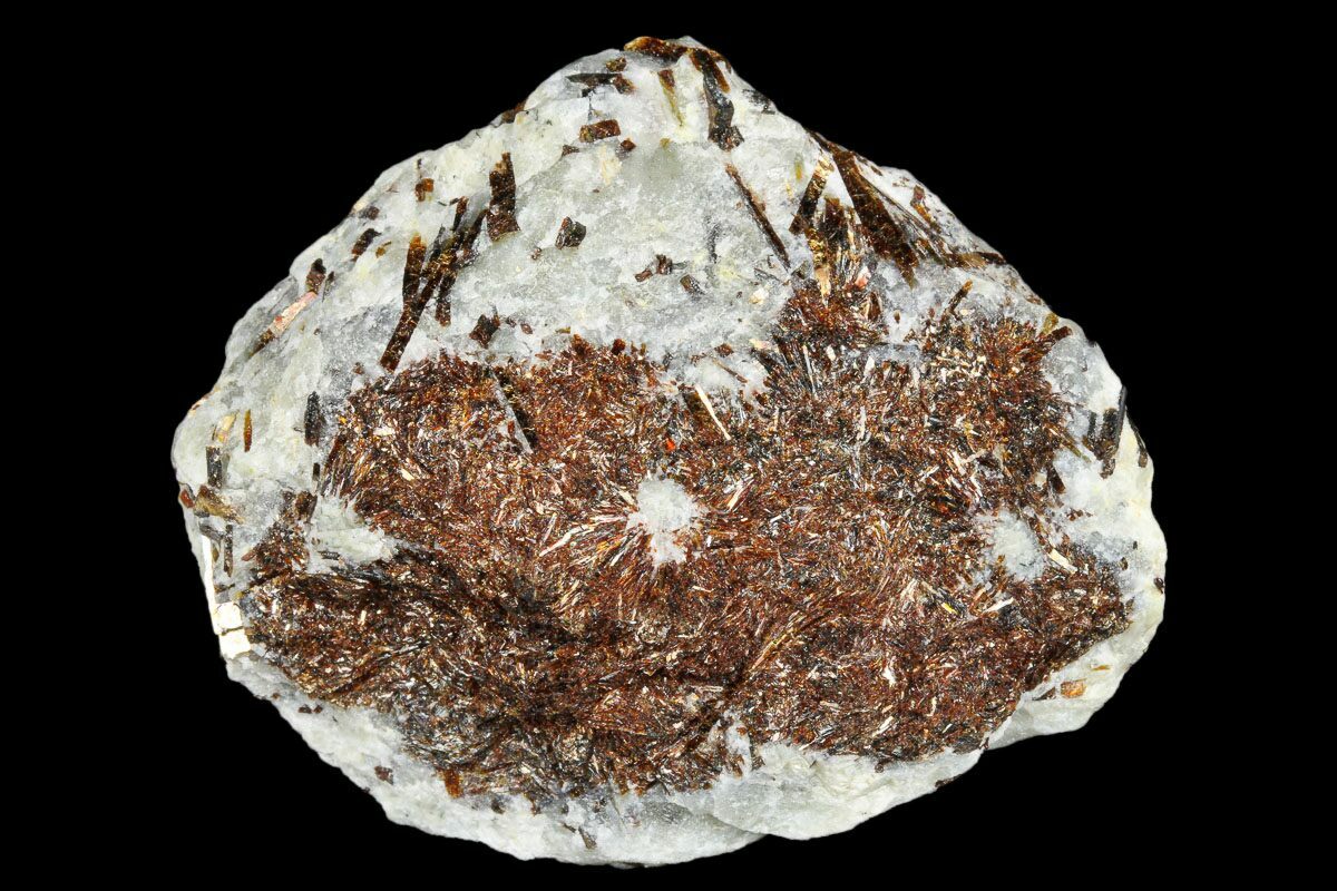 2.55" Golden-Brown, Radiating Astrophyllite - Kola Peninsula, Russia ...