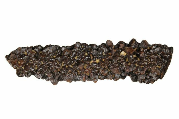 2.4" Goethite (Limonite) Pseudomorph after Pyrite/Marcasite - Egypt ...