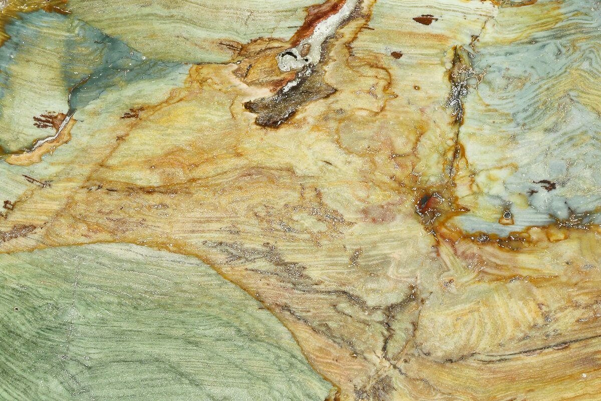 5.8" Polished, Gary Green (Larsonite) Petrified Wood - Oregon (#181930 ...