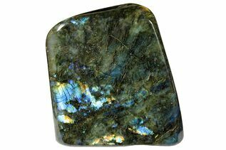 FossilEra.com - Fossils & Crystals For Sale