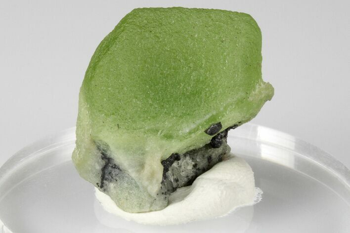 .8" Green Olivine Peridot Crystal with Magnetite - Pakistan (#185263 ...