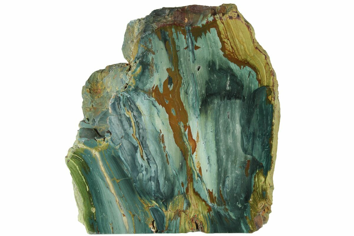 7.1" Gary Green Jasper (Larsonite) Bog Wood Stand Up - Oregon (#185128 ...