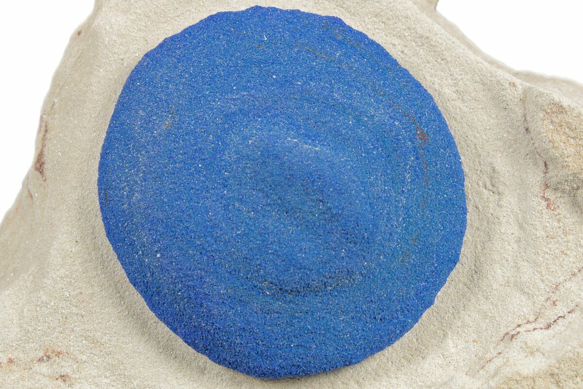 1.4" Vibrant Blue Azurite Sun on Siltstone - Australia (#188461) For ...