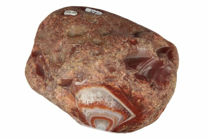 3.2" Polished Banded Lake Superior Agate - Minnesota (#189410) For Sale ...