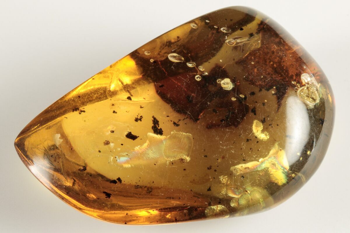 1.5" Polished Chiapas Amber (8 g) - Mexico (#193208) For Sale ...