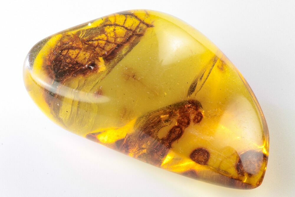 1.4" Polished Chiapas Amber (4.5 g) - Mexico (#193239) For Sale ...