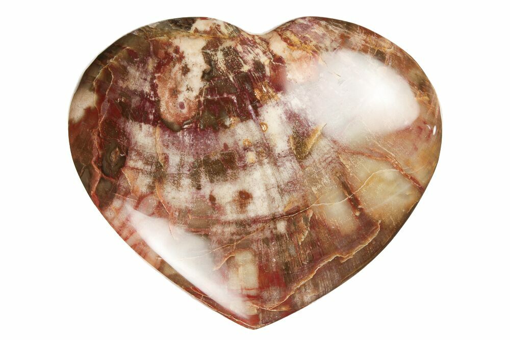 3.9" Polished Triassic Petrified Wood Heart - Madagascar (#194907) For ...