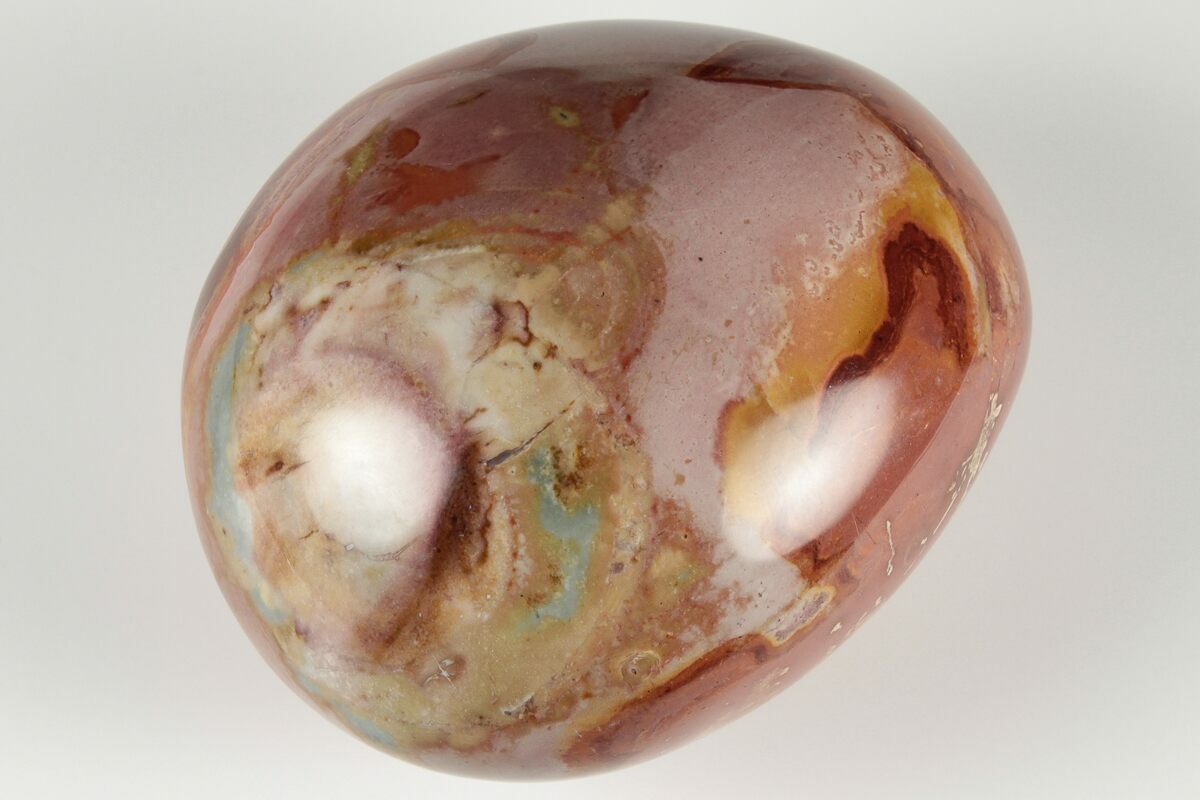 2.65" Polished Polychrome Jasper Palm Stone - Madagascar (#196524) For ...