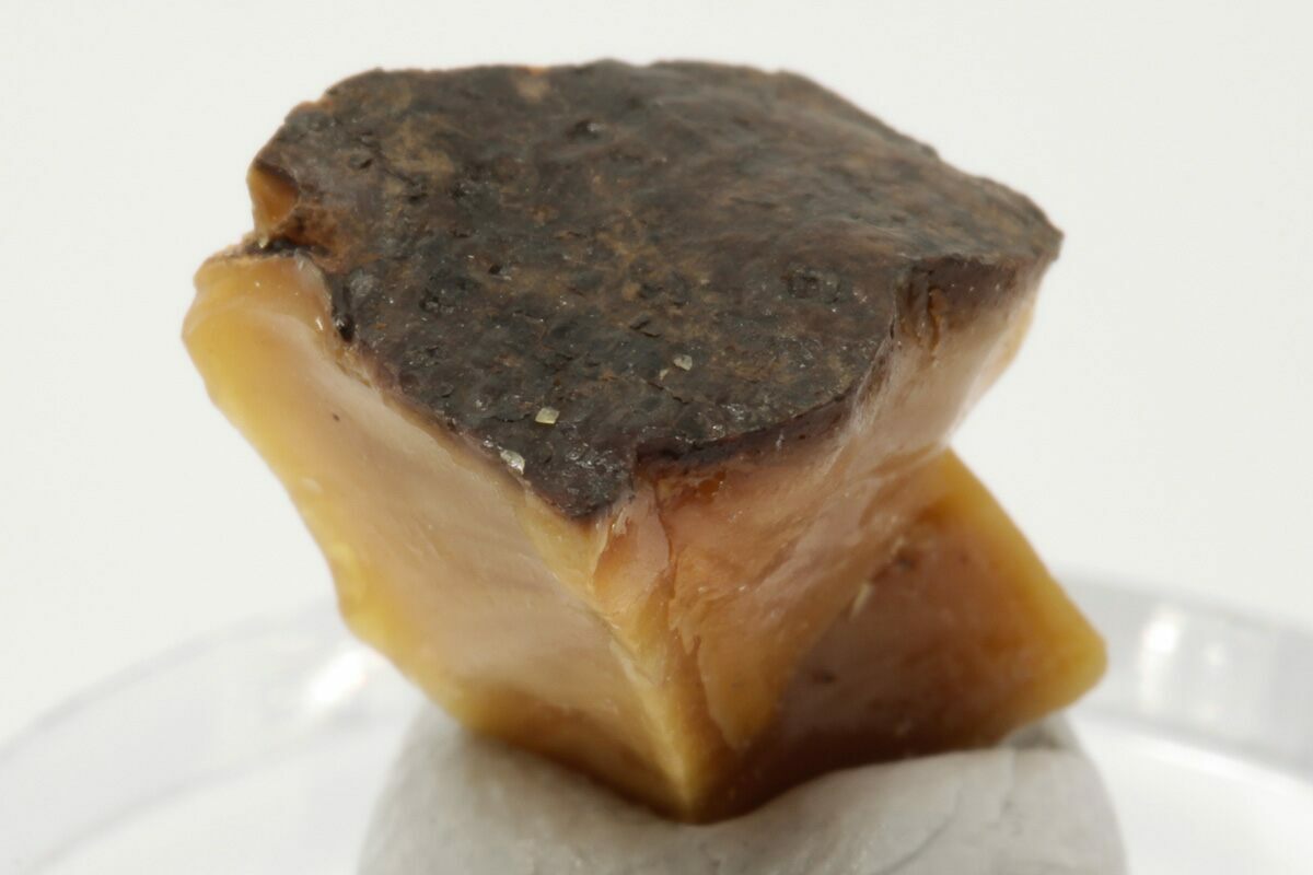 .5" Kansas Amber (Jelinite) Specimen - George Jelinek Collection ...