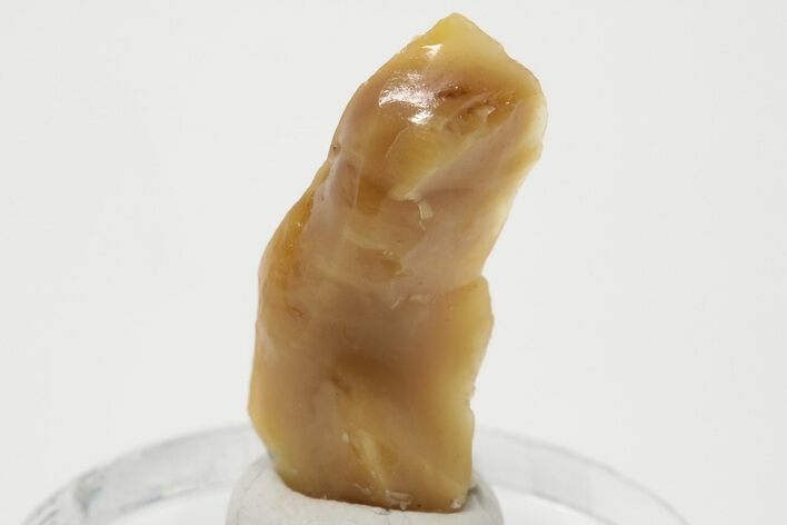 .76" Kansas Amber (Jelinite) Specimen - George Jelinek Collection ...