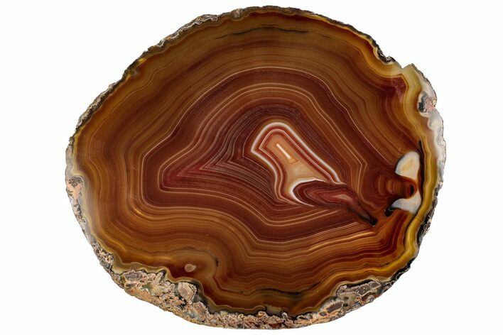 7.8" Polished, Banded Agate Slab - Brazil (#198074) For Sale ...