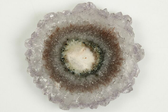 1.5" Amethyst Stalactite Slice - Uruguay (#186961) For Sale - FossilEra.com