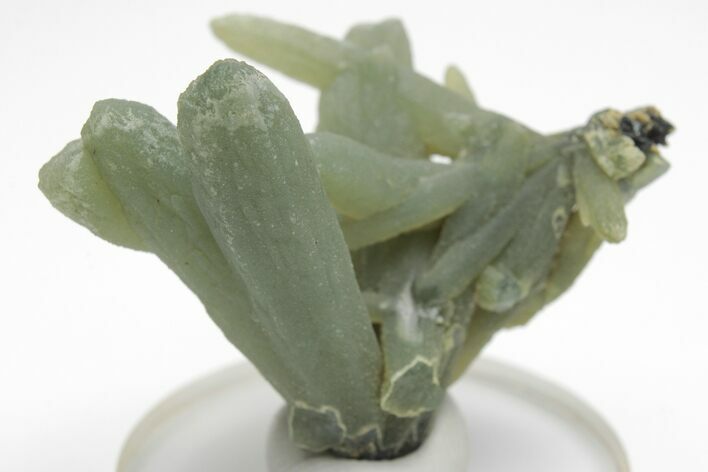 1.85" Prase Quartz Crystal Cluster - Greece (#207079) For Sale ...